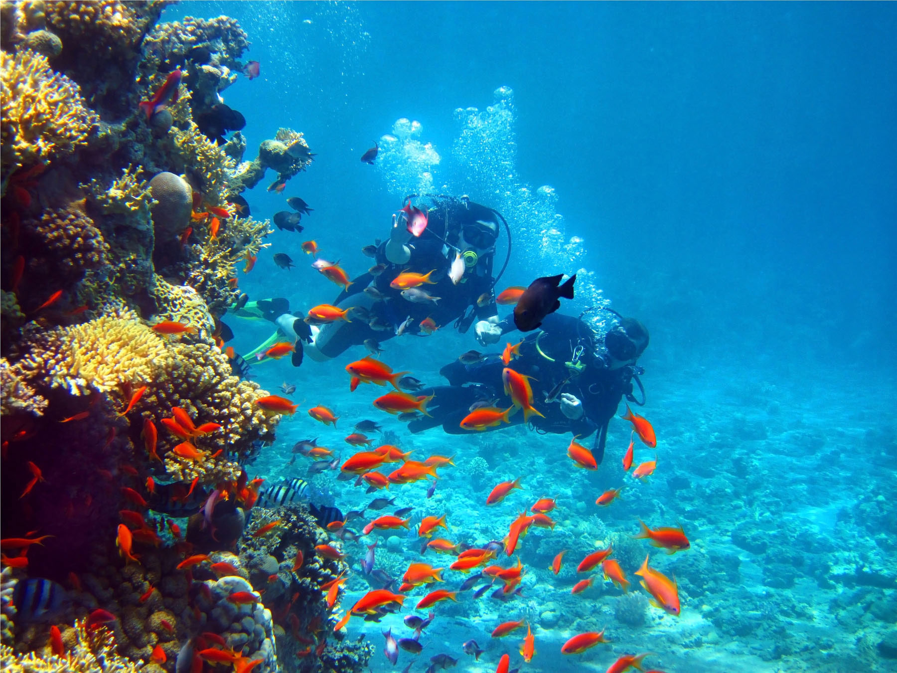 Submarinismo - Stop Seguros